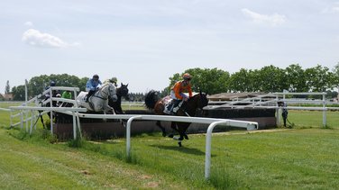 Objectif Gard : Toute l’actualité du Gard en temps réel