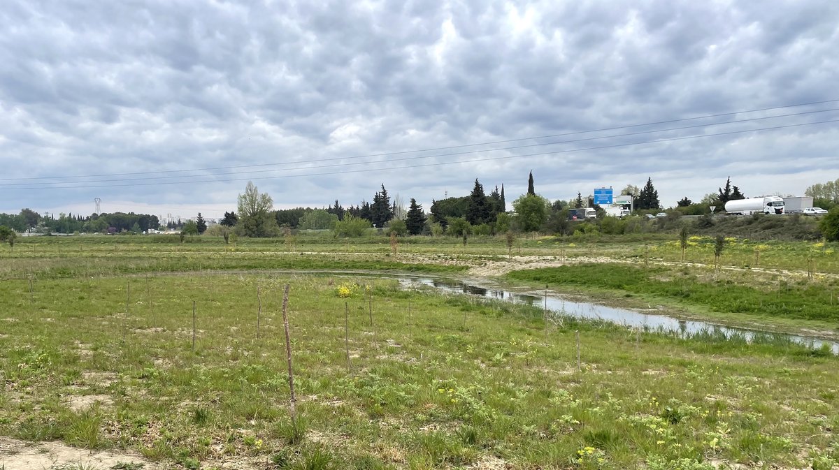FAIT DU SOIR Face aux erreurs du passé, le Vistre se refait une beauté
