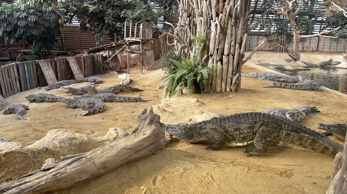 FERME AUX CROCODILES Une Réserve Tropicale unique en Europe